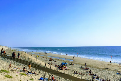 Descubre las increíbles playas de Biscarrosse: un paraíso vacacional [2025]