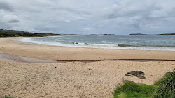 Kioloa Beach 🏖️ Shoalhaven City, Australia - detailed features, map, photos