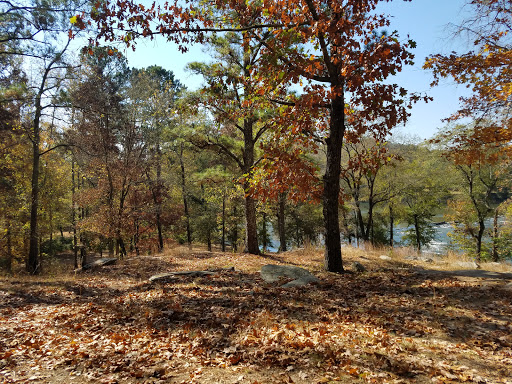 Park «McIntosh Reserve Park», reviews and photos, 1046 W McIntosh Cir ...