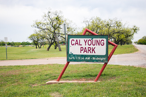 Cal Young Park - AZexplained