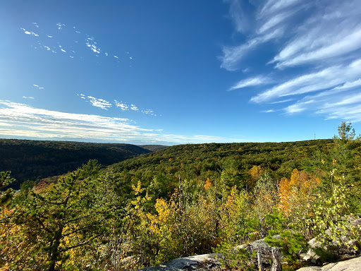 Mattatuck State Forest - AZexplained