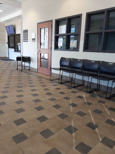 License Office - AZexplained