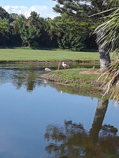 Golf Club «Manatee County Golf Course», reviews and photos, 6415 53rd ...
