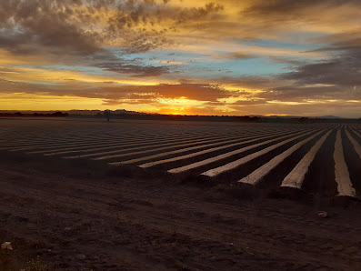 Rancho La Luz – Granja – My Blog