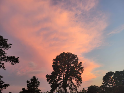 Park «Matzke Park», reviews and photos, 13110 Jones Rd, Houston, TX ...