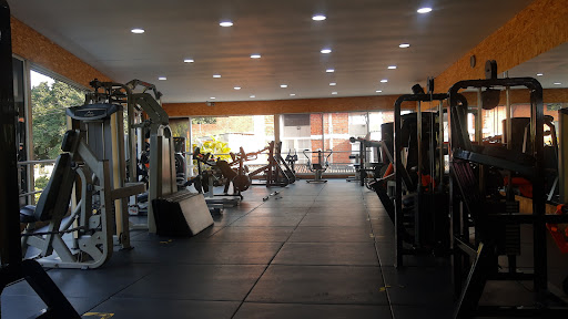 Cardios Gym Sede Norte en Cali