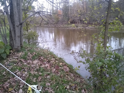 Riverbend Campground And Canoe Rental | Camping, Canoeing, Kayaking ...