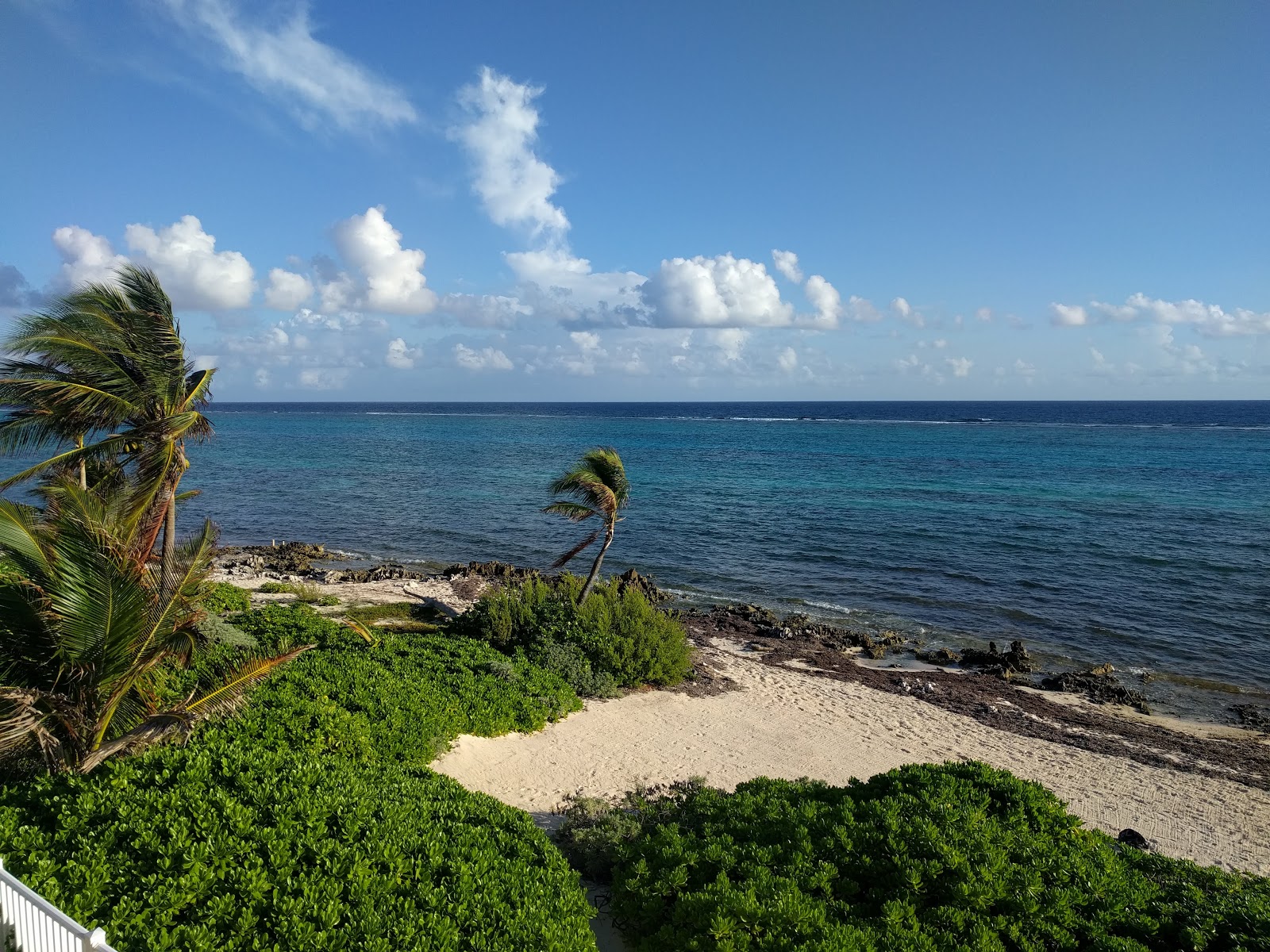 Caiman Kai beach 🏖️ Grand Cayman, Kaimaninseln - detaillierte ...