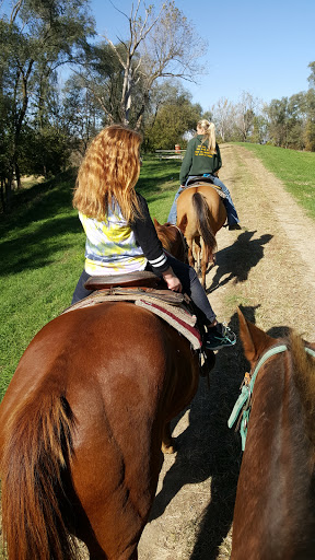 Shady Lane Ranch, Inc. | Ride The Horse