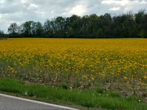 Golf Course «Winding Ridge Golf Club», reviews and photos, 5450 Bogey ...