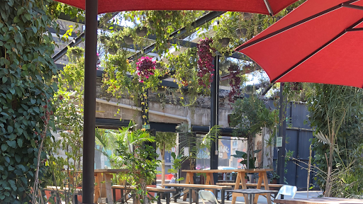 Jardín Juárez en Cuauhtémoc - Número de Teléfono, Reservas, Opiniones ...