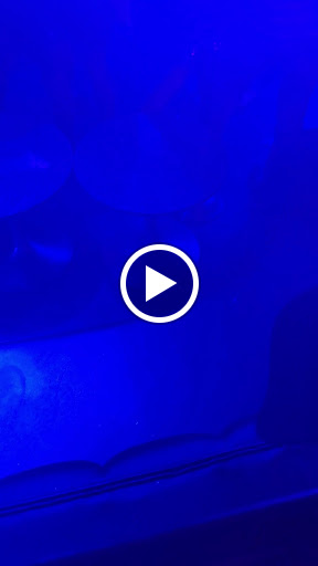 Night Club «South Beach Houston», reviews and photos, 810 Pacific St ...