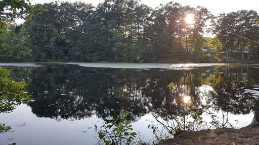 Park «Russell Mill Pond and Town Forest», reviews and photos, 105 Mill ...