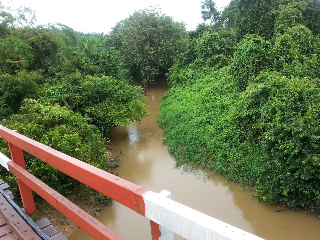 Jambatan Ladang Chini Lkpp di bandar Pekan