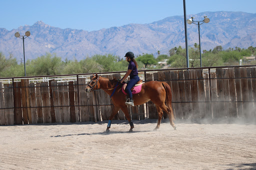 Raven Ranch | Ride The Horse