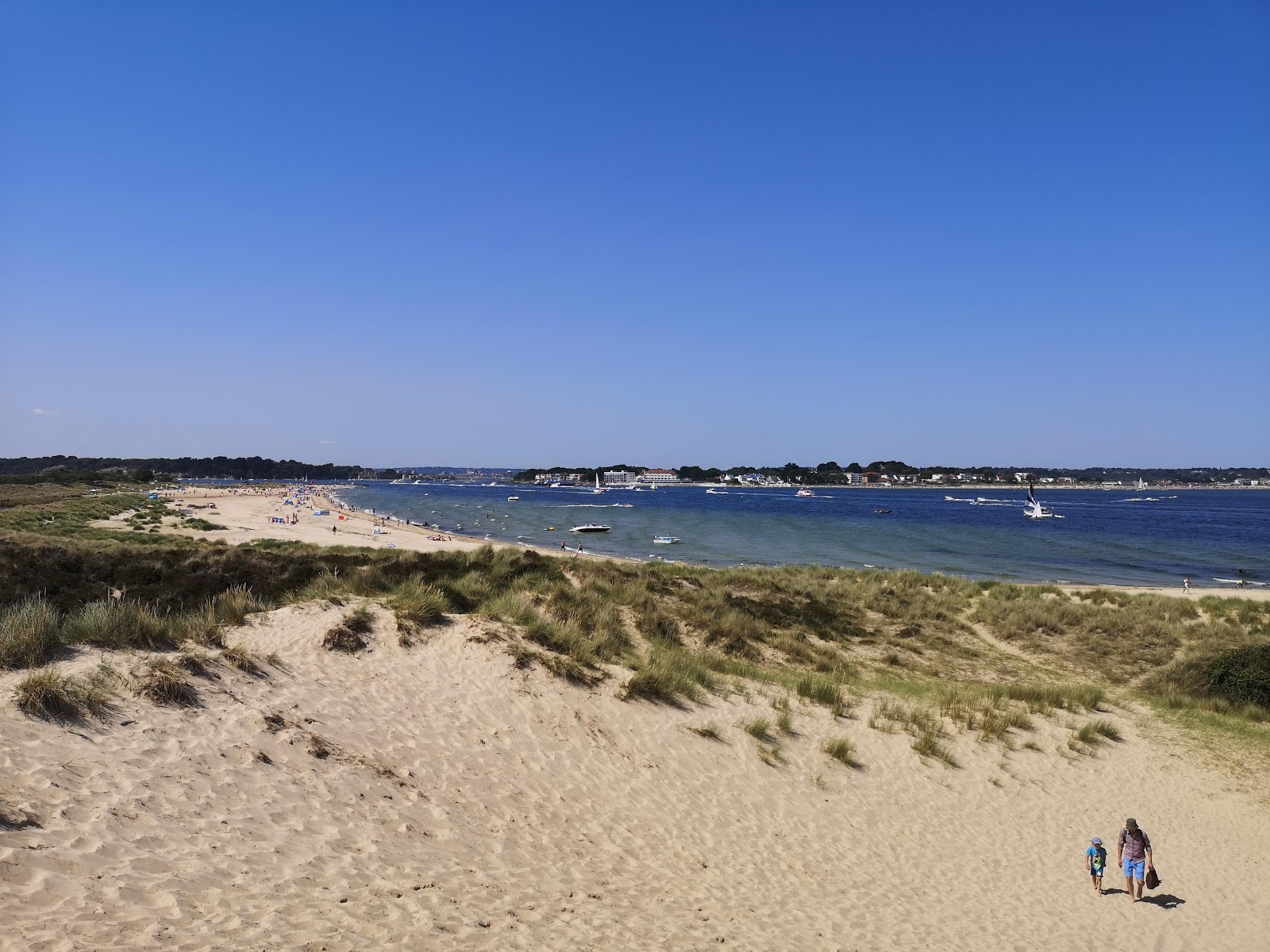 Shell Bay Beach on the map with photos and reviews🏖️ BeachSearcher.com