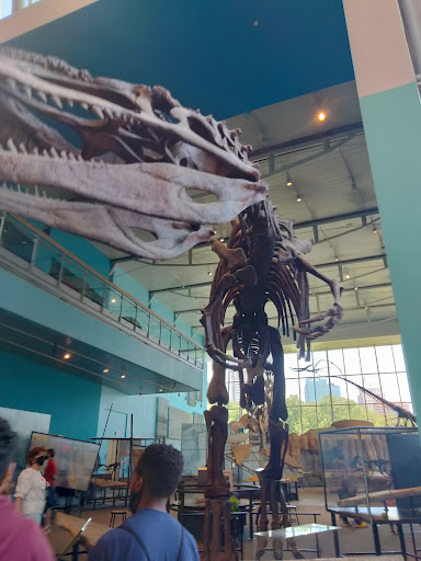 Imax Theater «IMAX at the Maryland Science Center», reviews and photos ...