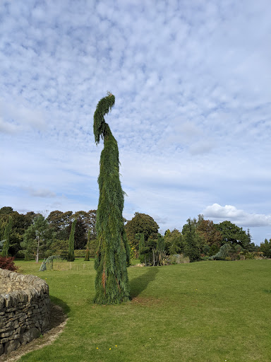 Walkers Nurseries & Garden Centre in Blaxton, Doncaster, - Zaubee
