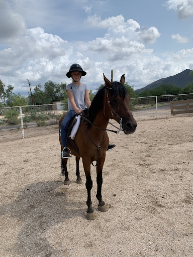 Sonoran Performance Horses | Ride The Horse