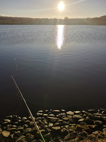 Moira Lakes - Fishing lake - Craigavon, - Zaubee