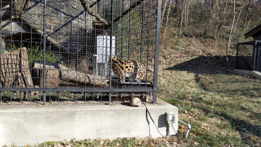 Zoo «Brandywine Zoo», reviews and photos, 1001 N Park Dr, Wilmington ...