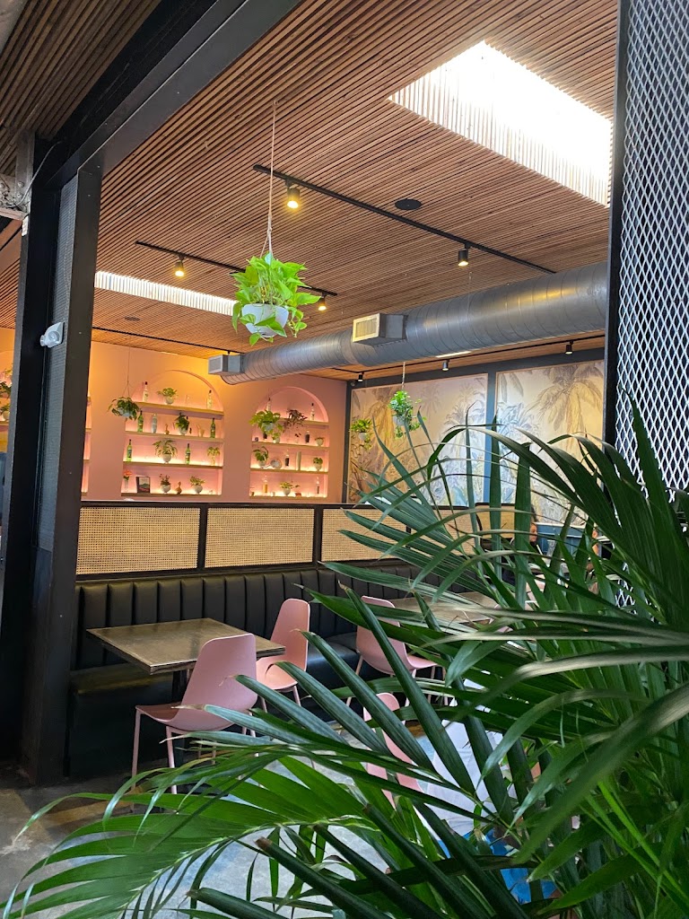 Vals - New Orleans, LA 70115 - Menu, Reviews, Hours & Contact