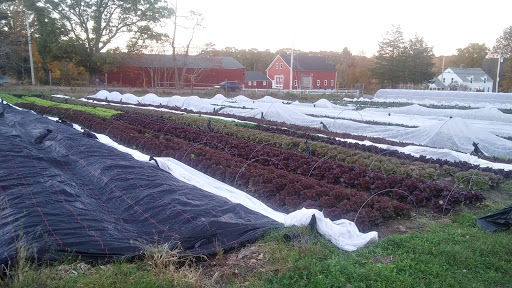 Big Train Farm - AZexplained