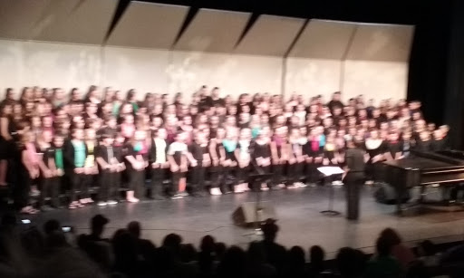 Performing Arts Theater «Reif Performing Arts Center», reviews and ...