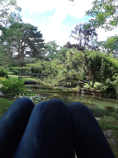 Park «Roger Williams Park Carousel Village», reviews and photos, 1000 ...