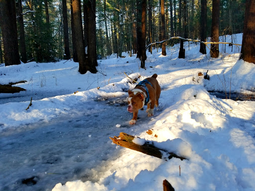 State Park «Breakheart Reservation», reviews and photos, 177 Forest St ...