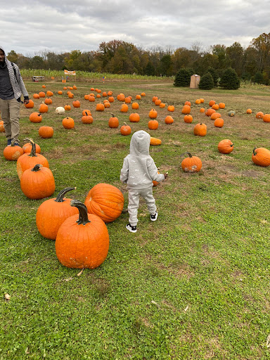 Indian Acres Tree Farm - AZexplained