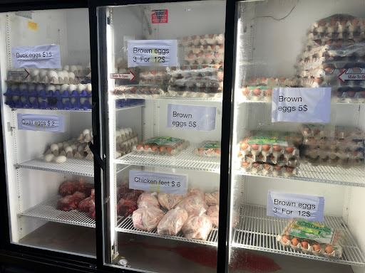 Saba Live Poultry 2 in Bayview, San Francisco, California - Zaubee