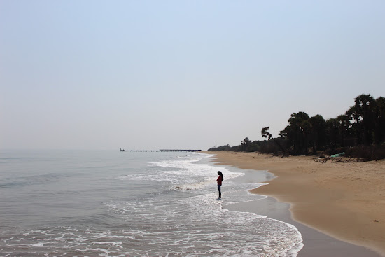 Nellore 🏖️ all 23 beaches around 45km (India, Andhra Pradesh)