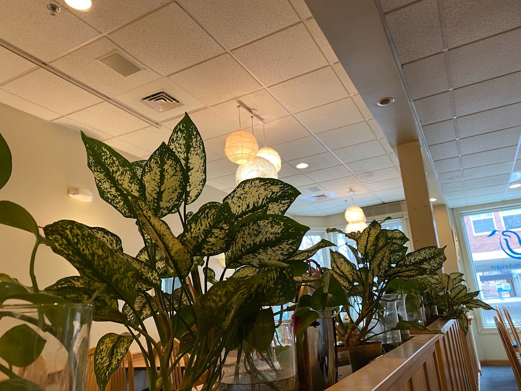 Blue Mango - Adams, MA 01267 - Menu, Hours, Reviews and Contact