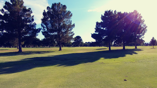Golf Club «Lone Star Golf Club», reviews and photos, 1510 Hawkins ...