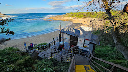 Little Bay Beach 🏖️ Sutherland Shire, Australia - detailed features ...