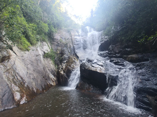 Bvumba Mountains in - Zaubee