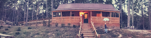 Recreation Center «Go Ape Zip Line & Treetop Adventure - Freedom Park ...