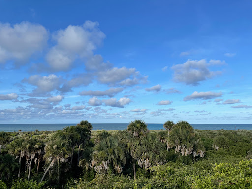 Turtle Mound - New Smyrna Beach, Florida - Zaubee