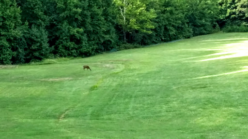 Golf Course «Pohick Bay Golf Course», reviews and photos, 10301 Gunston ...