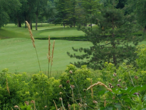 Golf Club «Prairie Isle Golf Course», reviews and photos, 2216 W State ...