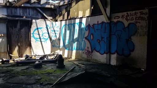 Tourist Attraction «Loop Island Wetlands», reviews and photos, 2200 E ...