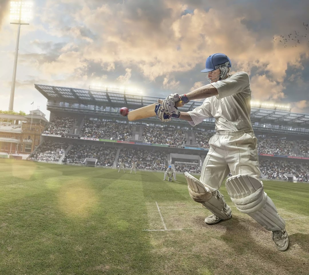 Vijay Yadav Residential Cricket Academy in the city Faridabad