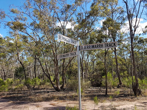 Long Forest Nature Conservation Reserve