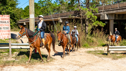 Cypress Trails Ranch LLC | Ride The Horse