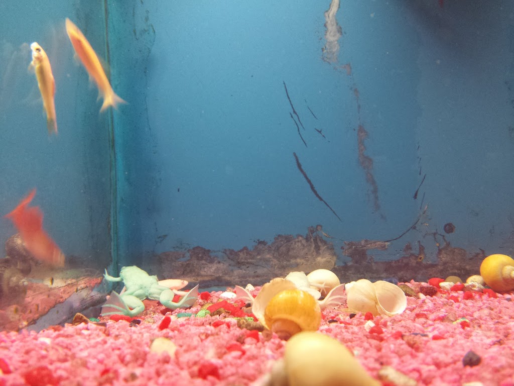 Troy Pets - Troy, AL 36081 - Location, Reviews, Hours and Information.