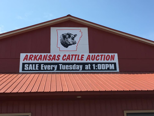 Arkansas Cattle Auction - AZexplained