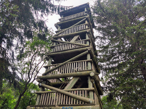 Hannah Robinson Rock & Tower - AZexplained