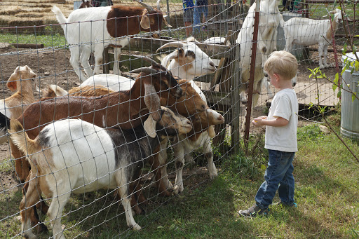 Cedar Creek Farm - AZexplained