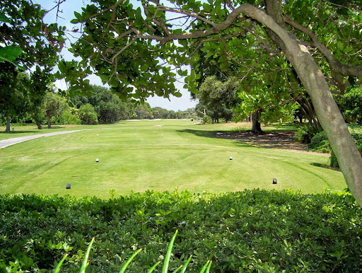 Private Golf Course «Pasadena Yacht & Country Club», reviews and photos ...